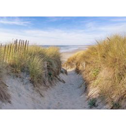 Fototapete papermoon "Dunes in Bretagne", bunt, B:2,5m L:1,86m, Vlies, Tapeten