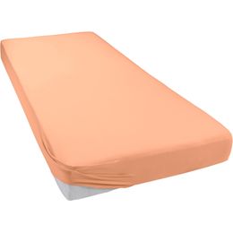 Spannbettlaken Irisette "Orion 9", rot (apricot), L:200cm, Frottee, Obermaterial: 75% Baumwolle, 25% Polyester, Bettlaken, Spannbettlaken, weicher Frottier-Stretch, f&uuml;r Matratzen bis 25 cm H&ouml;he