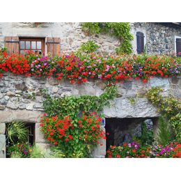 Fototapete papermoon "Stein Haus", bunt, B:2,5m L:1,86m, Vlies, Tapeten