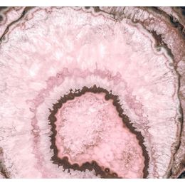 Vliestapete Komar "Digitaldruck Vlies - Geode - Gr&ouml;&szlig;e 300 x 280 cm", rosa (rosa, schwarz, wei&szlig;), B:300m L:280m, Vlies, Tapeten, Wohnzimmer, Schlafzimmer