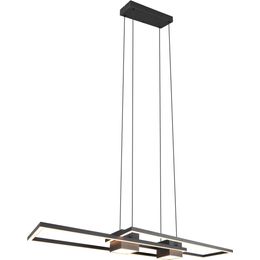 Trio LEUCHTEN LED Pendelleuchte "ALBANY, LED H&auml;ngelampe Wohnzimmer mit Fernbedienung, dimmbar, CCT", schwarz (schwarz matt), 1, H: 150cm, 1 Stk., Leuchten, Lichtfarbe einstellbar, Memoryfunktion, Nachtlicht, up-and-down Licht, LED Pendelleuchte