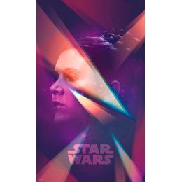 Vliestapete Komar "Digitaldruck Vlies - Star Wars Female Leia - Gr&ouml;&szlig;e 120 x 200 cm", bunt, B:120m L:200m, Vlies, Tapeten, Kinderzimmer