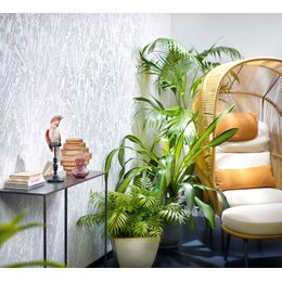 Vliestapete marburg "Palm", wei&szlig;, B:0,7m L:10,05m, Vlies, Tapeten, Kunst moderne Tapete f&uuml;r Wohnzimmer Schlafzimmer K&uuml;che