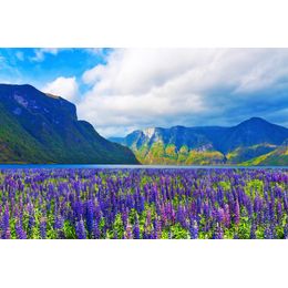 Fototapete papermoon "FJORD-NORWEGEN GEBIRGE BLUMEN SONNE WALD FLUSS B&Auml;UME", bunt, B:2,5m L:1,86m, Vlies, Tapeten