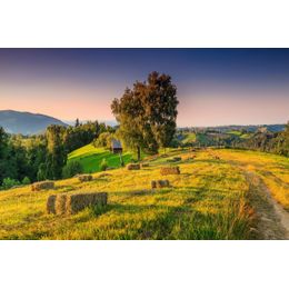 Fototapete papermoon "ALPINE LANDSCHAFT", bunt, B:2,5m L:1,86m, Vlies, Tapeten