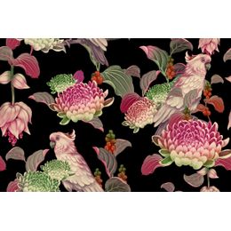 Fototapete papermoon "BLUMEN PAPAGEI ARRANGEMENT", bunt, B:2,5m L:1,86m, Vlies, Tapeten