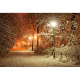 Fototapete papermoon "Park im Winter", bunt, B:2,5m L:1,86m, Vlies, Tapeten