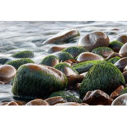 Fototapete papermoon "Steine im Wasser", bunt, B:2,5m L:1,86m, Vlies, Tapeten