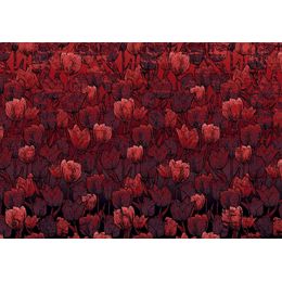 Vliestapete Komar "Digitaldruck Vlies - Tulipe - Gr&ouml;&szlig;e 400 x 280 cm", rot, B:400m L:280m, Vlies, Tapeten, Wohnzimmer, Schlafzimmer