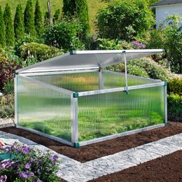 Fr&uuml;hbeet Beckmann "Typ Allg&auml;u - Modell 3", transparent, B:123cm H:61cm T:107cm, Aluminium, Polycarbonat, Pflanzgef&auml;&szlig;e, BxTxH: 123x107x50/61 cm