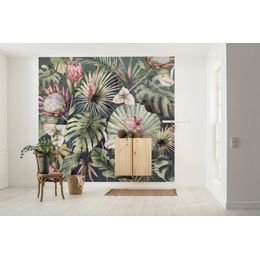 Vliestapete Komar "Digitaldruck Vlies - Monsterawelt - Gr&ouml;&szlig;e 300 x 280 cm", bunt, B:300m L:280m, Vlies, Tapeten, Wohnzimmer, Schlafzimmer