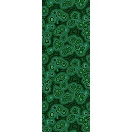 Vinyltapete queence "Bernice", gr&uuml;n, B:0,9m L:2,5m, Vinyl, Tapeten, 90x250cm, selbstklebend, kinderleichte Anbringung,, Sticker