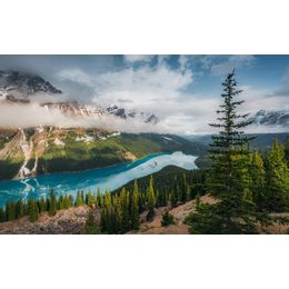 Vliestapete Komar "Digitaldruck Vlies - Wonderland Canada - Gr&ouml;&szlig;e 450 x 280 cm", bunt, B:450m L:280m, Vlies, Tapeten, Wohnzimmer, Schlafzimmer