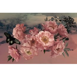 Fototapete papermoon "BLUMEN ABSTRAKT-MUSTER DESIGN ROSEN BLUMEN DECOR RETRO", bunt, B:2,5m L:1,86m, Vlies, Tapeten
