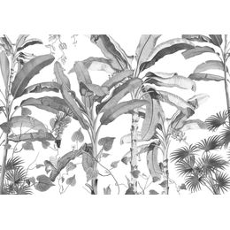 Vliestapete Komar "Digitaldruck Vlies - Croissances Monochrome - Gr&ouml;&szlig;e 400 x 280 cm", schwarz (schwarz, wei&szlig;), B:400m L:280m, Vlies, Tapeten, Wohnzimmer, Schlafzimmer