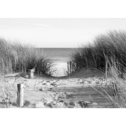 Fototapete papermoon "Strand Schwarz & Wei&szlig;", schwarz (schwarz, wei&szlig;), B:2,5m L:1,86m, Vlies, Tapeten