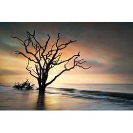 Fototapete papermoon "Baum am Strand", bunt, B:2,5m L:1,86m, Vlies, Tapeten