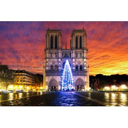 Fototapete papermoon "Notre Dame Sonnenaufgang", bunt, B:2,5m L:1,86m, Vlies, Tapeten