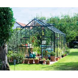 Gew&auml;chshaus Vitavia "Uranus 9900", gr&uuml;n, B:254cm T:378cm, Gew&auml;chsh&auml;user
