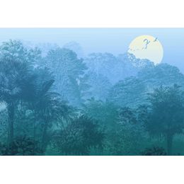 Vliestapete Komar "Digitaldruck Vlies - Deep in the Jungle - Gr&ouml;&szlig;e 400 x 280 cm", bunt (blau, gr&uuml;n, wei&szlig;), B:400m L:280m, Vlies, Tapeten, Wohnzimmer, Schlafzimmer