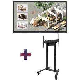 LG CreateBoard 75TR3DQ-B Signage Touch Display 190 cm 75 Zoll inkl. Neomounts MOVE Lift FL55-875BL1