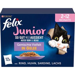 FELIX So gut wie es aussieht in Gelee Junior gemischte Vielfalt Katzen-Nassfutter unterst&uuml;tzt ein gesundes Wachstum 12x85g
