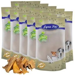 LYRA PET Rinderkopfhaut St&uuml;cke 4 - 8 cm 10 kg