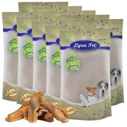 LYRA PET Rinderkopfhaut goldbraun dunkel 10 kg