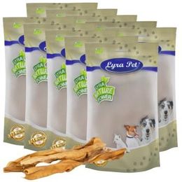 LYRA PET Rinderkopfhautstangen ca. 50 cm 10 kg