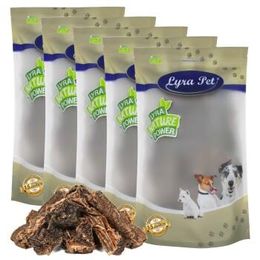 LYRA PET Rindereuter 5 kg