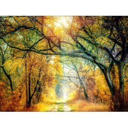 Pro Art Keilrahmenbild SUNSHINE FOREST