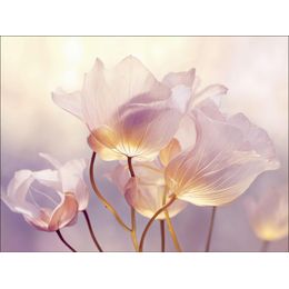 Pro Art Glasbild FLOWERS IX