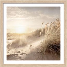 Pro Art Gerahmtes Bild DUNE GRASS