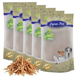LYRA PET Kleine Fische 5 kg