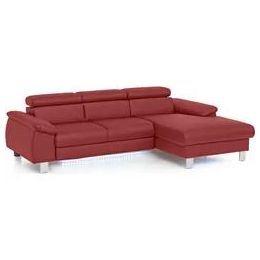 Ecksofa COTTA "Komaris L-Form, B: 244 cm", rot, B:244cm H:72cm T:166cm, Microfaser PRIMABELLE (100% Polyester);Kunstleder SOFTLUX(100%Polyurethan);Feinstruktur (100% Polyester);Kunstleder SOFTLUX/Struktur (100%Polyurethan, 90%Polyester, 10% Polyacryl), Sofas, Ecksofa, mit Kopfteilverstellung, optional Bettfunktion, Bettkasten & Licht