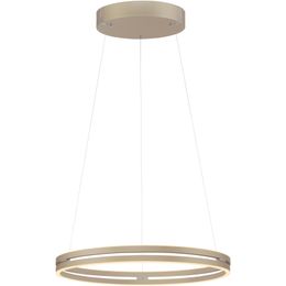 NEUHAUS PURE LED Pendelleuchte "PURE E-Loop", bronzefarben, 2, &Oslash; 70cm H: 40cm, 1 Stk., Leuchten, e-LIFT Funktion, CCT, dimmbar &uuml;ber Fernbedienung, LED Pendelleuchte