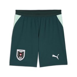 Sporthose Puma "&Ouml;sterreich 2026 Shorts Herren", Herren, Gr. L, Normalgr&ouml;&szlig;en, gr&uuml;n terrain mint melt, Obermaterial: 100% Polyester. Besatz: 88% Polyester, 12% Elasthan. Einsatz: 100% Polyester, regular fit, Hosen Sporthose
