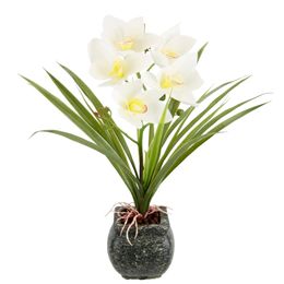 Kunstblume OTTO HOME "Orchidee", beige (creme), B:35cm H:40cm L:25cm, Polyester, Kunstpflanzen, Mit Bl&auml;tter im Topf aus Zement K&uuml;nstliche Blume Cymbidium-Orchidee