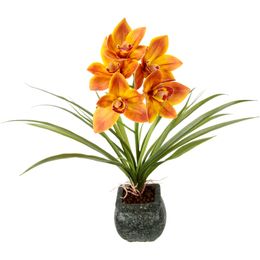 Kunstblume OTTO HOME "Orchidee", orange, B:35cm H:40cm L:25cm, Polyester, Kunstpflanzen, Mit Bl&auml;tter im Topf aus Zement K&uuml;nstliche Blume Cymbidium-Orchidee