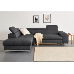 Ecksofa COTTA "Chef L-Form", schwarz, B:257cm H:72cm T:206cm, Luxus-Microfaser (100% Polyester);Kunstleder Softlux;Leder Advantage (abgedecktes Spalt-Rindsleder), R&uuml;ckseite mit schwarzem Spannstoff bezogen;NaturLEDER (echtes Rindsleder), R&uuml;ckseite mit schwarzem Spannstoff bezogen, Sofas, Ecksofa, mit Kopfteilverstellung, edle Metallkufen, wahlweise mit Bettfunktion