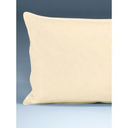 H&auml;ussling Federkissen HAEUSSLING Gr. 4, beige (creme), B:40cm L:40cm, 100% Baumwolle, Kopfkissen