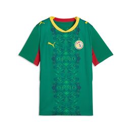 Trainingsshirt Puma "Senegal 2026 Ausw&auml;rtstrikot Jugendliche", Kinder, Gr. 128, gr&uuml;n (wild gr&uuml;n rot), Obermaterial: 100% Polyester. Kragen: 100% Polyester. Einsatz: 100% Polyester, regular fit, Rundhals, Shirts