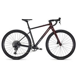 Focus ATLAS 6 APEX LTD - S - Gravel - Walnut / Obsidianblack