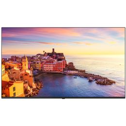 LG 43UM662H4 Hotel Smart TV 109,2 cm (43")