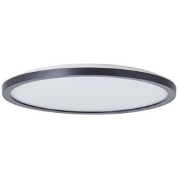 LED Panel Brilliant "Brennan", schwarz (schwarz, wei&szlig;), Leuchten, &Oslash; 29cm H: 2cm, 1 Stk., LED Panel, D 29 cm, 2000 lm, 3-Stufen dimmbar, 4000 K, IP44, H:2cm &Oslash;:29cm