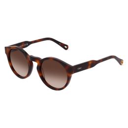 Chlo&eacute; Chlo&eacute; CH0158S | Unisex-Sonnenbrille | Fassung: Vollrand, Panto, Kunststoff, Havanna Gl&auml;nzend | Glasfarbe: Braun Verlaufend
