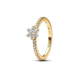 Pandora Damenring Timeless 164499C01-54