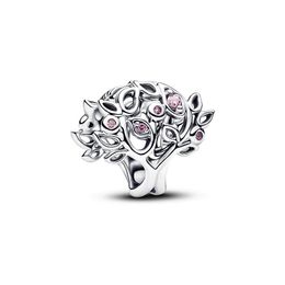 Pandora Charm Moments 794486C01