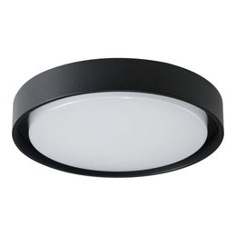 Brumberg Leuchten LED-Wandleuchte 830, schwarz, IP54 60107183)