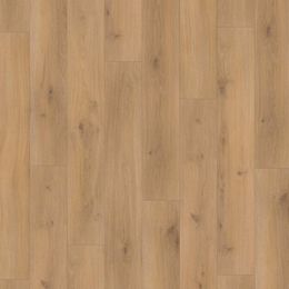 PARADOR Laminat 'Basic 400' Euche Horizont Natur braun 8 mm
